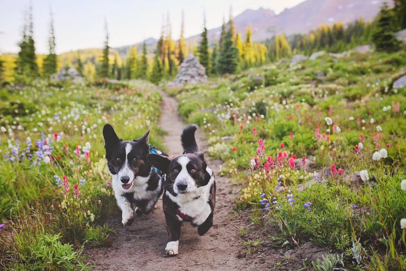 About - Lisa Lixuan Sproat Photography