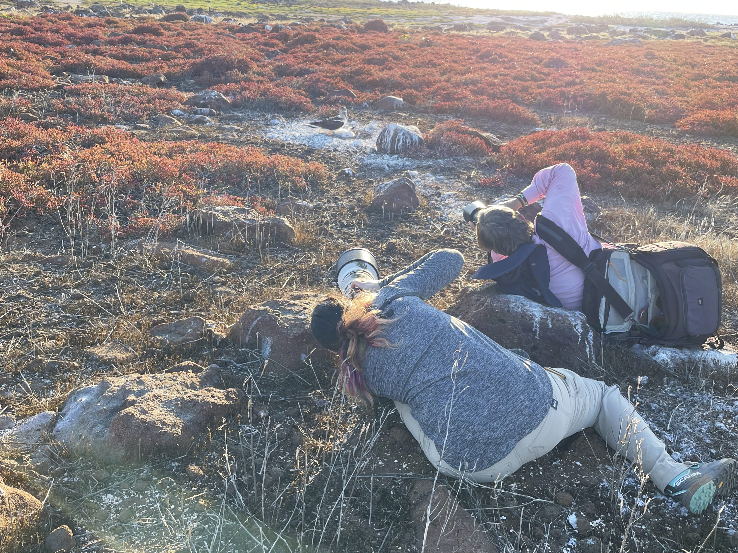 Galápagos, 2022 - Lisa Lixuan Sproat Photography